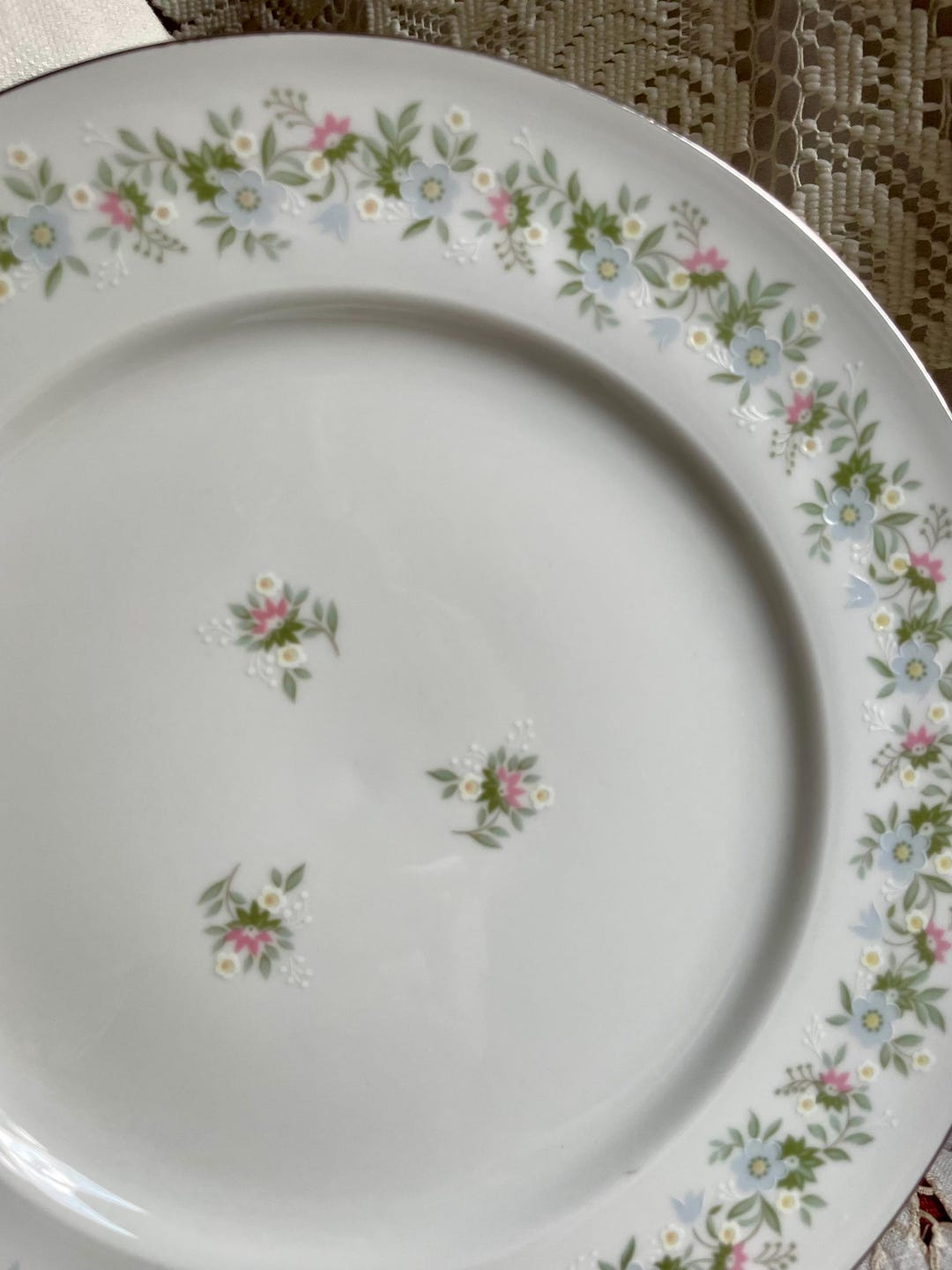 Johann Haviland Floral Dinner Plates (set of 2) | Cottagecore China - Etsy