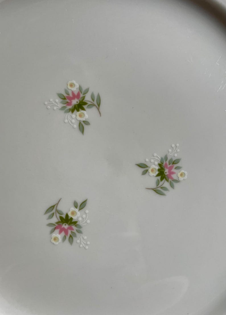 Johann Haviland Floral Dinner Plates (set of 2) | Cottagecore China - Etsy