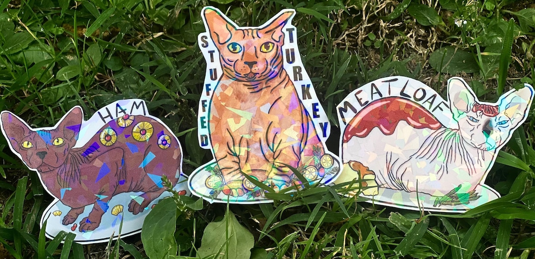 Hairless Cat Stickers/ Funny Vinyl Stickers/ Cat Lover Stickers ...