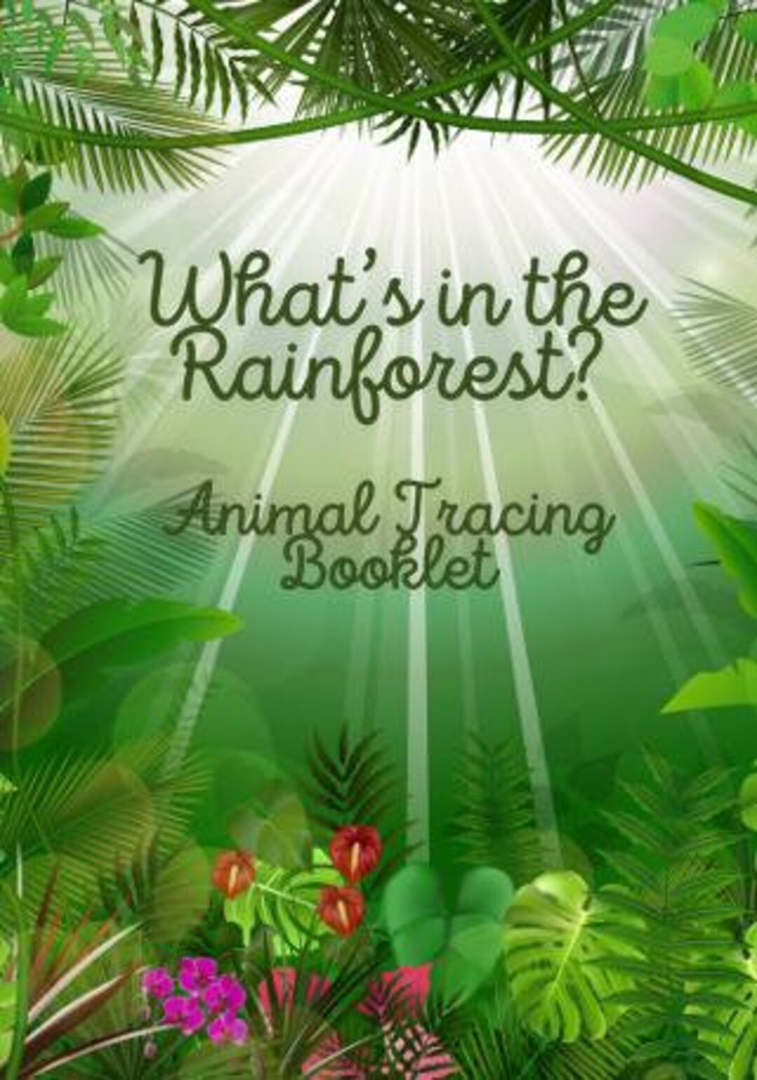What's in the Rainforest Animal Tracing Booklet - Etsy