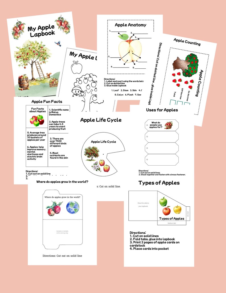 Apple Unit Study, All About Apples, Learn About Apples - Etsy