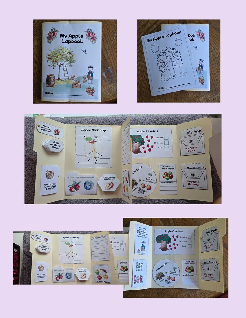 Apple Unit Study, All About Apples, Learn About Apples - Etsy