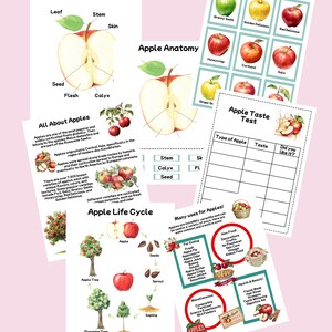 Apple Unit Study, All About Apples, Learn About Apples - Etsy
