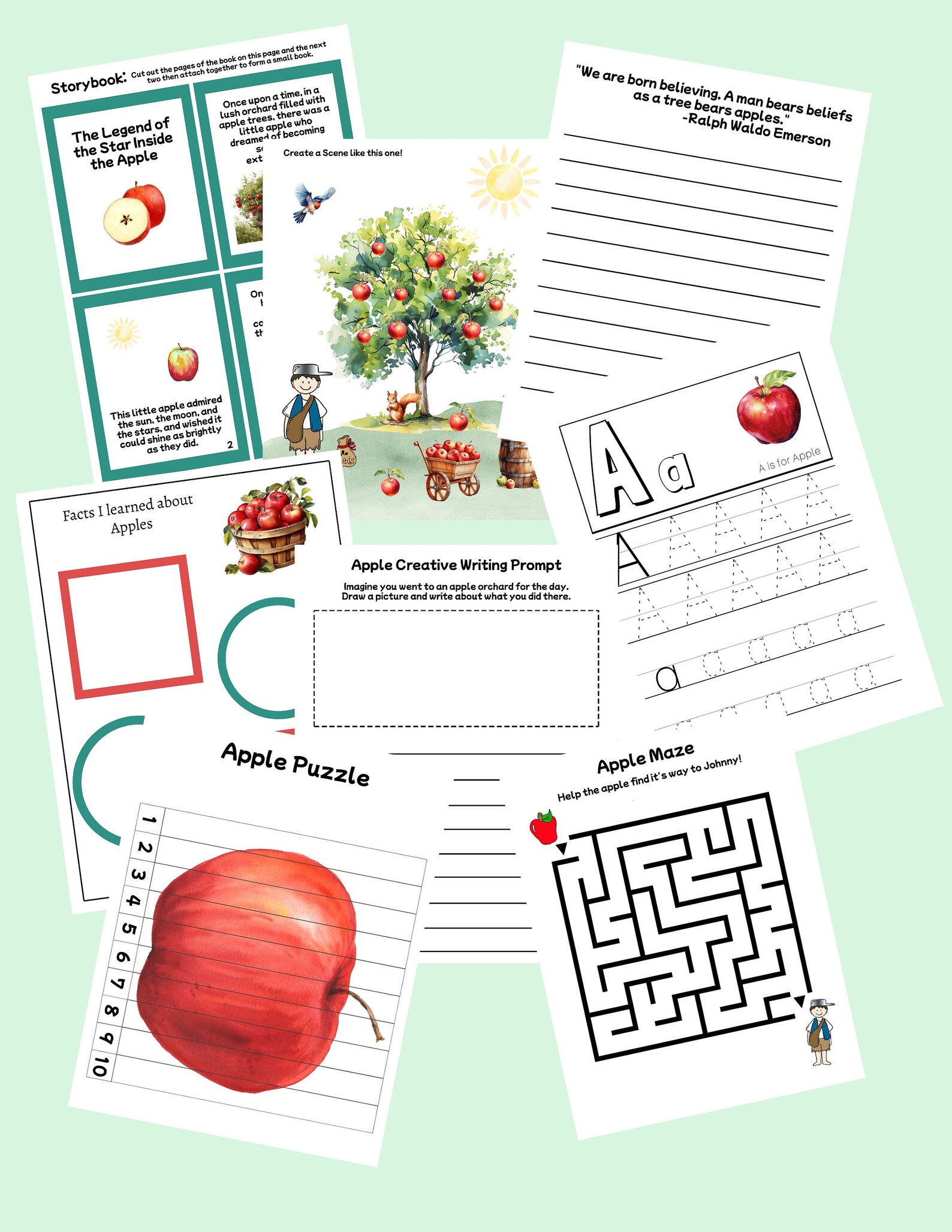 Apple Unit Study, All About Apples, Learn About Apples - Etsy
