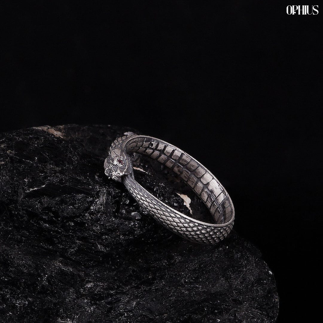 Silver Ouroboros Ring, Ouroboros Snake Ring for Men, Ouroboros Women's ...