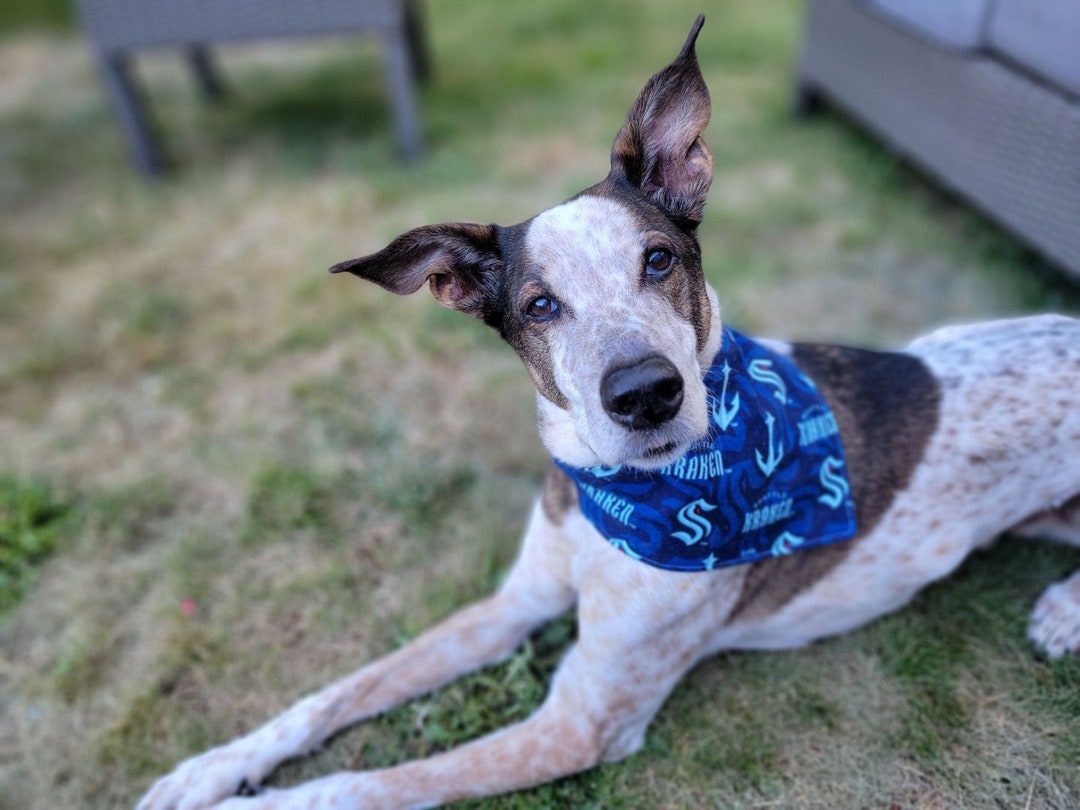Kraken Seahawks Dog Scarf - Etsy