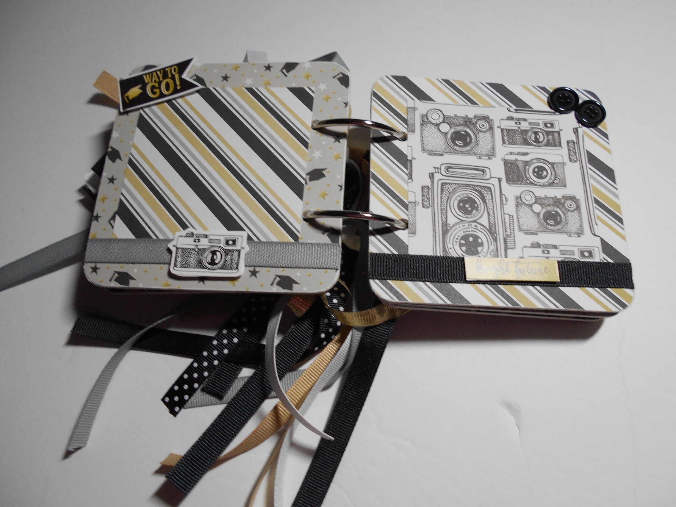 Graduation Mini Album, Graduation Scrapbook, 4x4, Premade Album, Memory ...