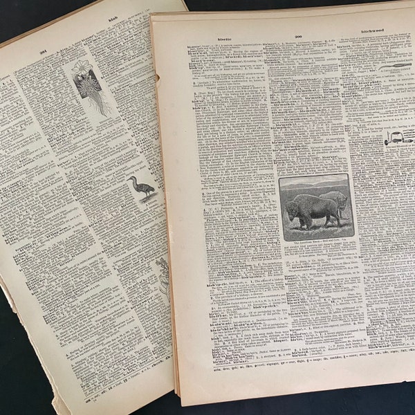 Antique Dictionary - Etsy
