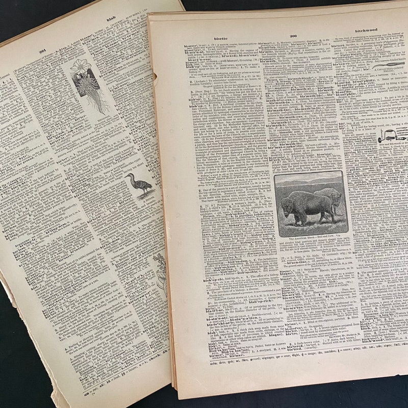 Dictionary Font - Etsy