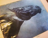 Sparklewren for Summerfield Stables by sparklewren on Etsy