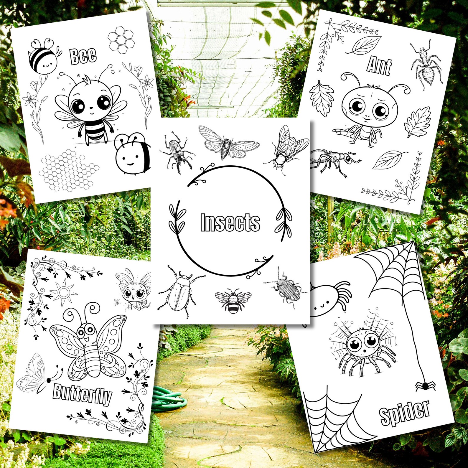 Insect Coloring Sheets Coloring Sheets for Kids Learning Coloring ...