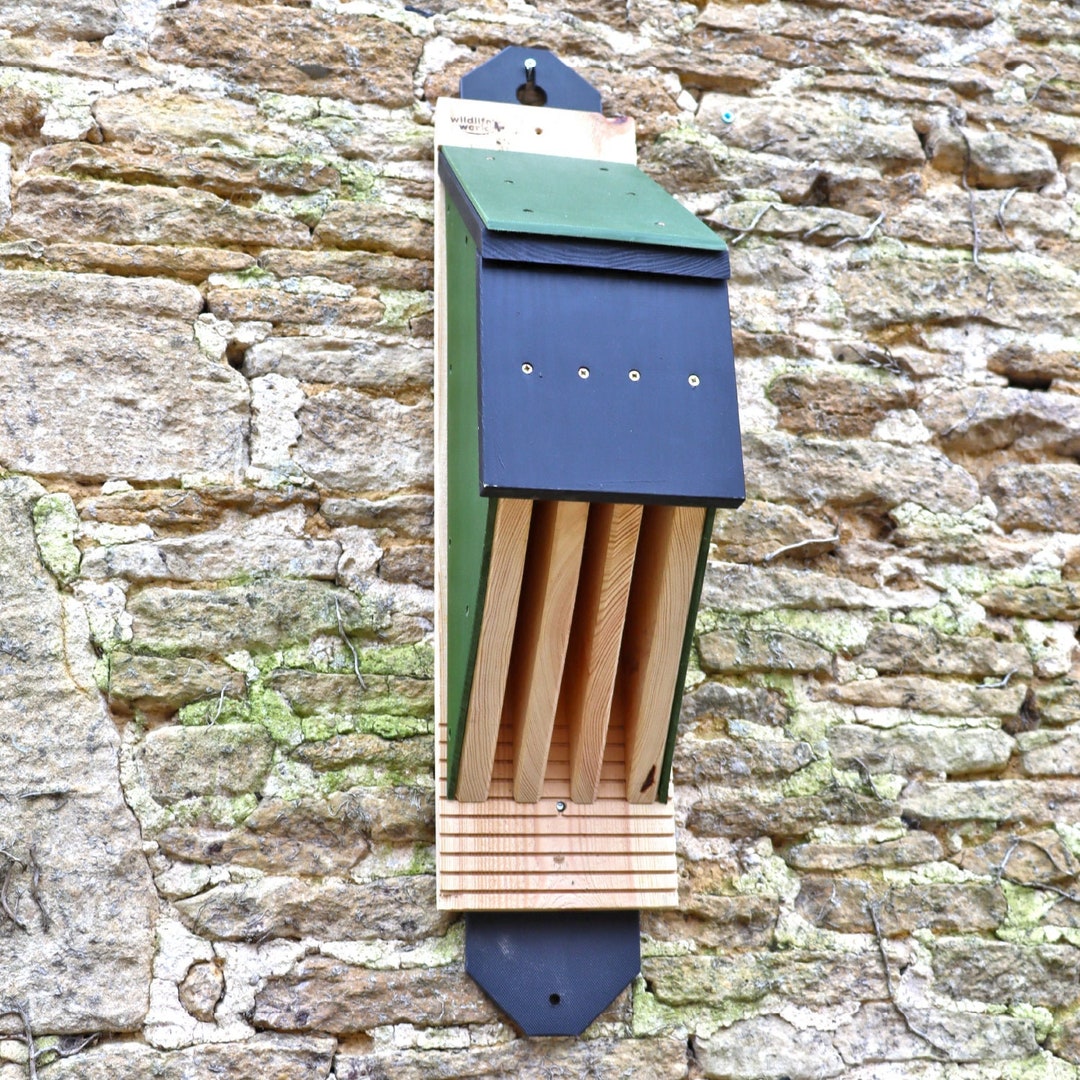 Vincent Multi-species Bat Box - Etsy