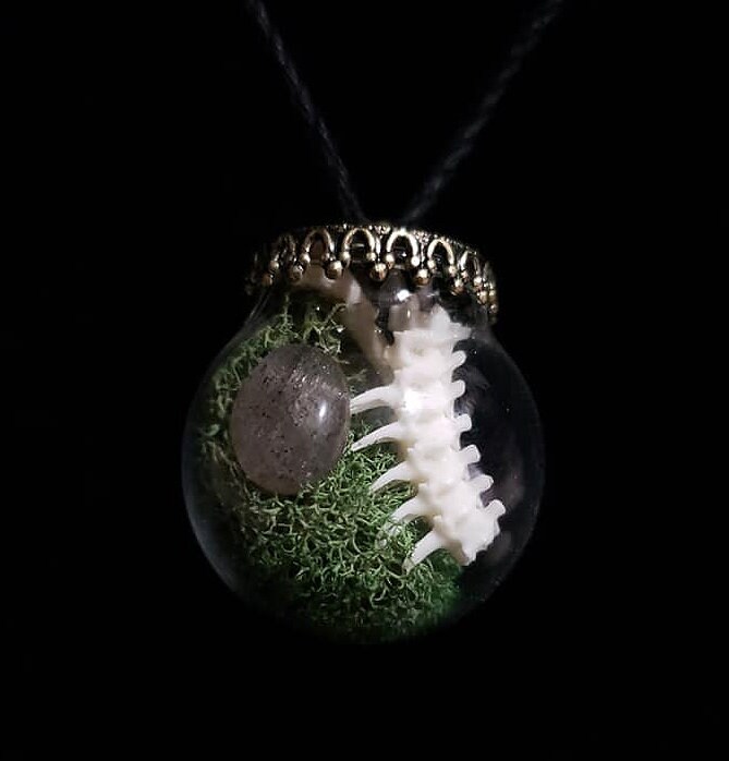 Real Boa Constrictor Vertebrae Spine Bones Mole Femur Amethyst | Etsy