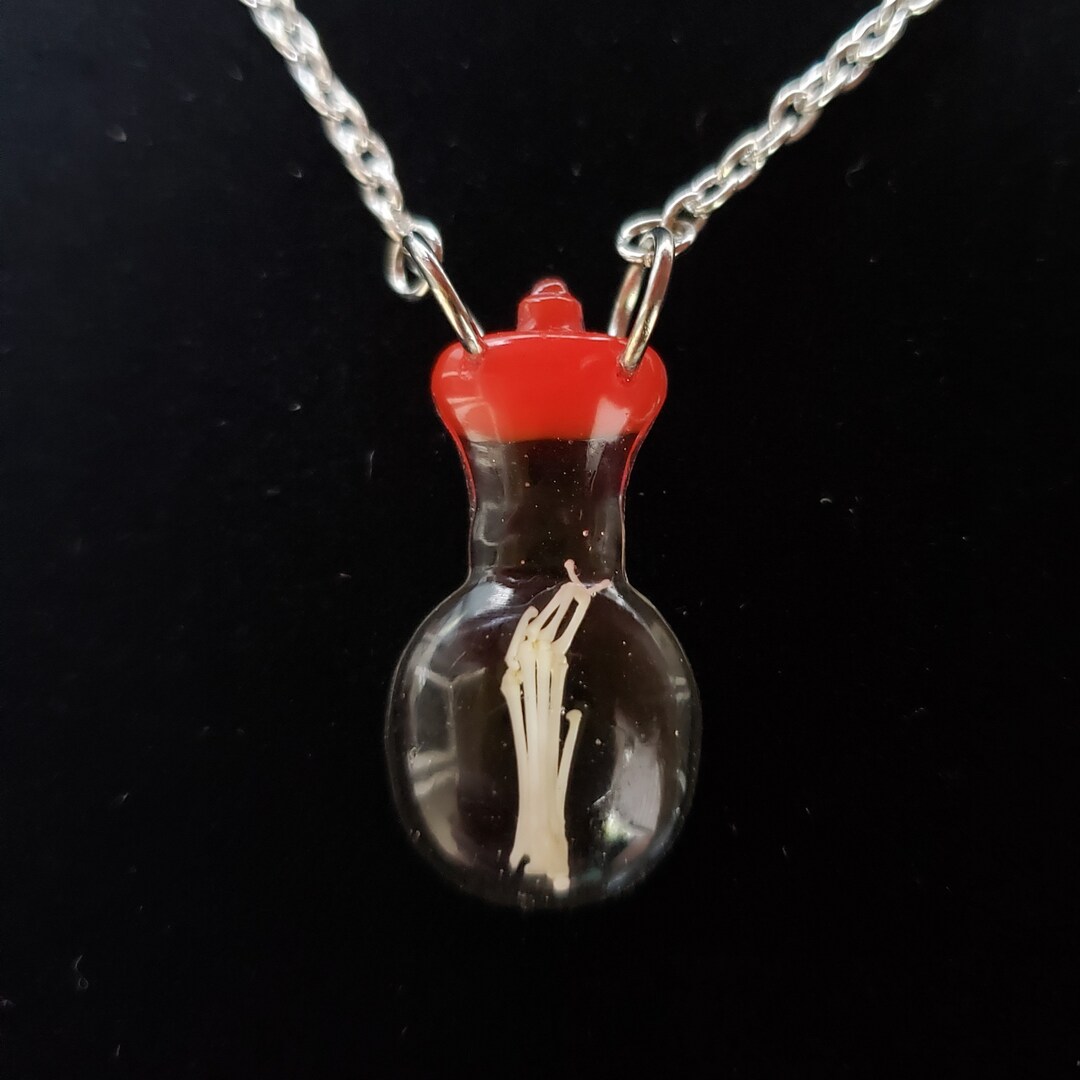 Real Mouse Whole Foot Bones Encased in Bottle Shaped Resin on Silver ...