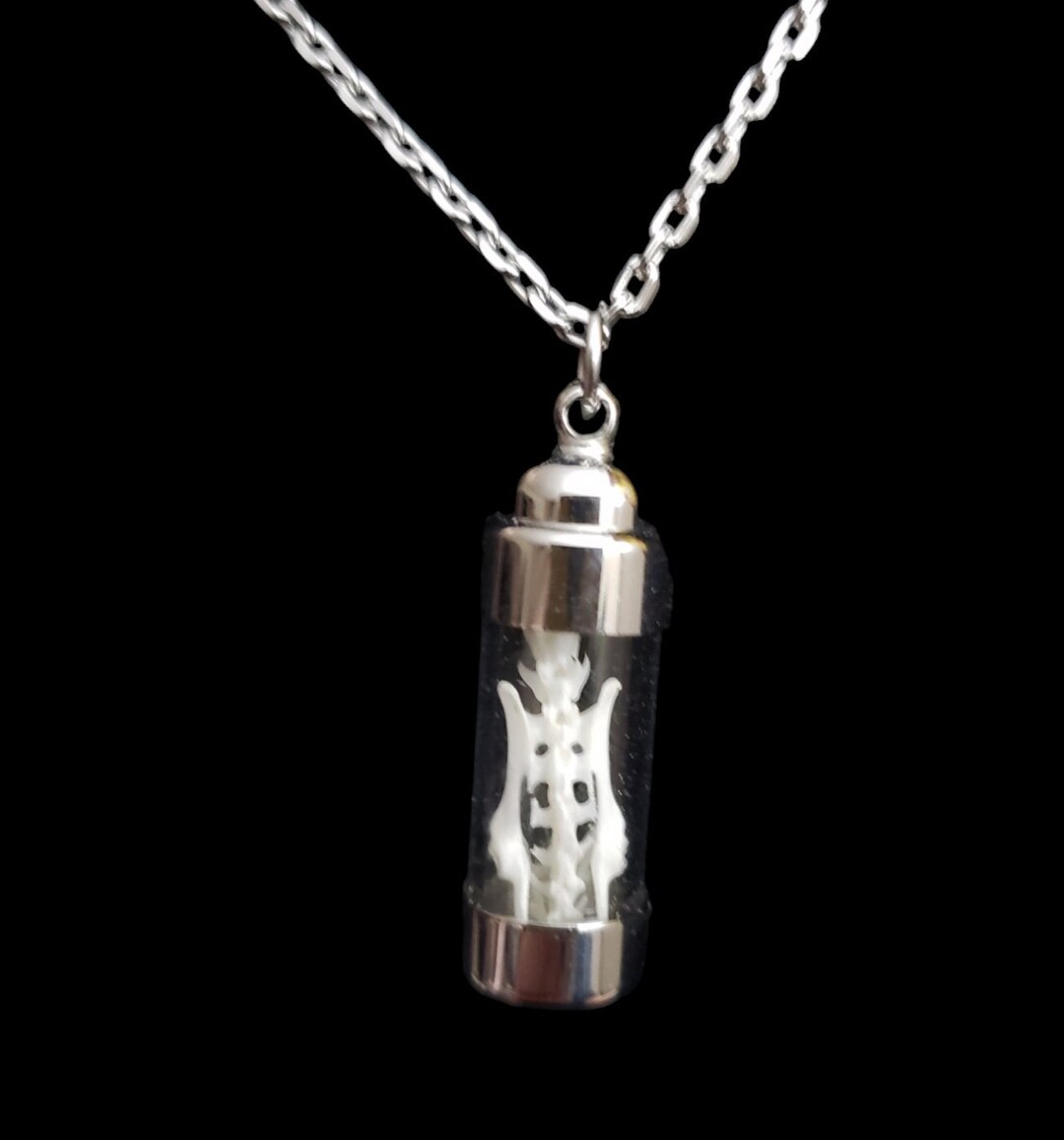 Real Tiny Mouse Spine Vertebrae Sacrum in Glass Tube Vial Display on ...