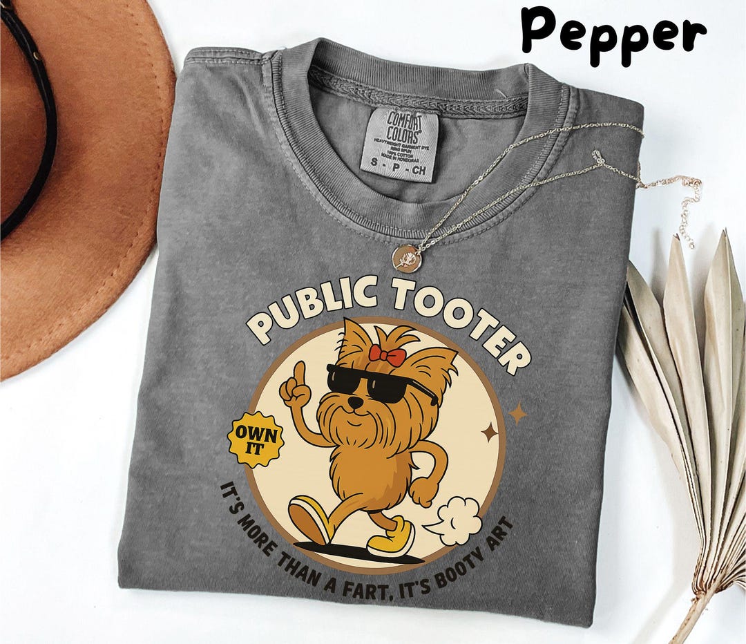 Public Tooter Comfort Color Shirt| Embarrassing Edgy Gen Z Meme Shirt ...