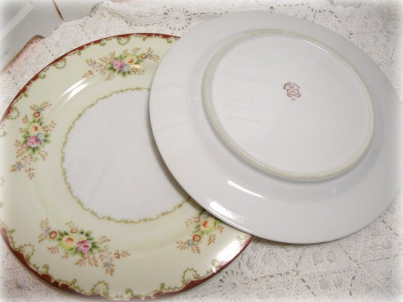 Vintage Empress China Hand Painted Set of TWO 10 Plates EMP 131 Roses ...