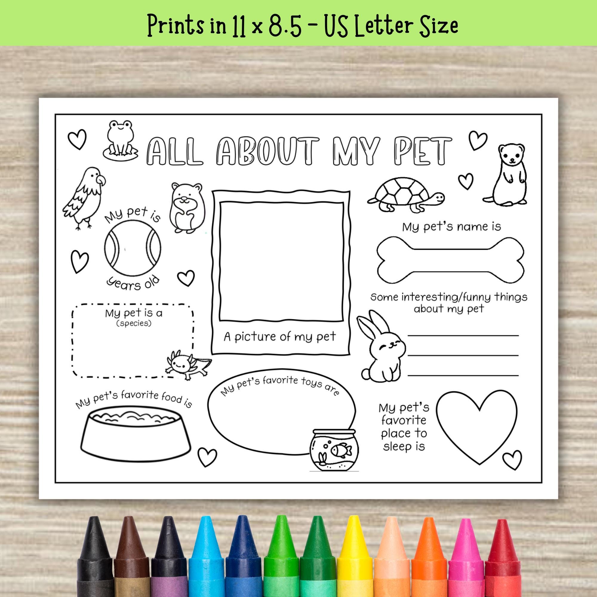 All About My Pet, Dog and Cat 3 Printable Worksheets, Digital Download ...