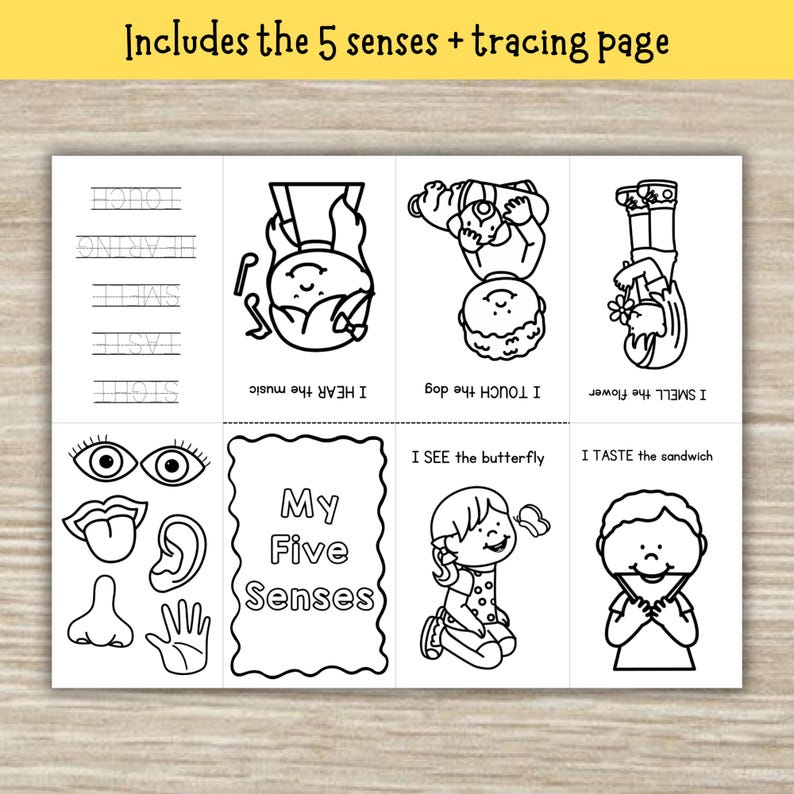 5 Senses Foldable Mini Coloring Book Senses Printable Page, Kids ...