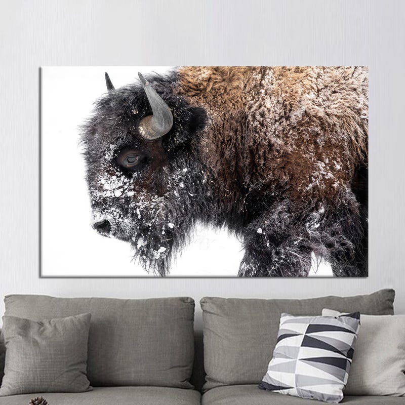 Buffalo Art in Snow - Etsy
