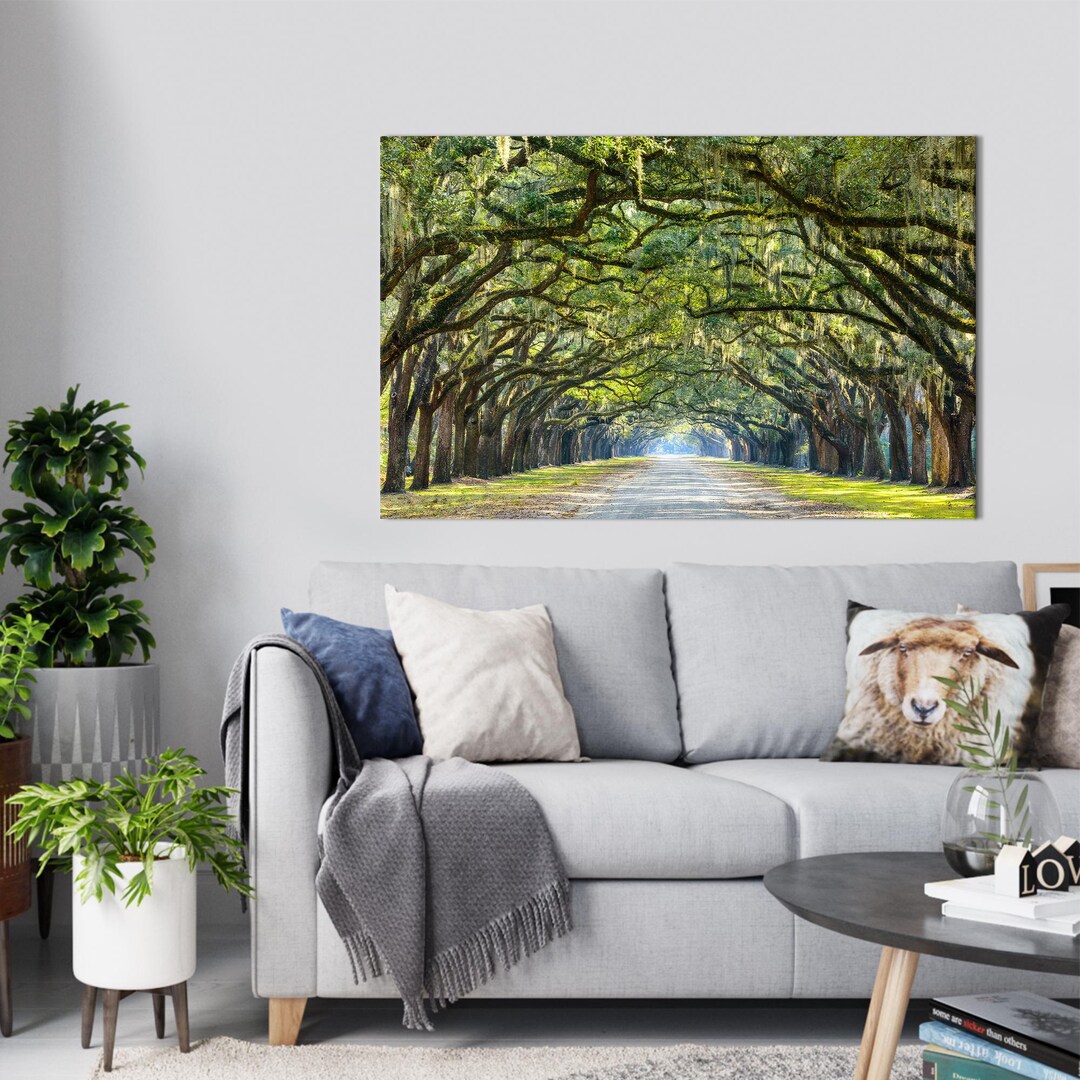 View Art, Stunning Line of Oak Trees Canvas Decor, Stunning Line Canvas ...