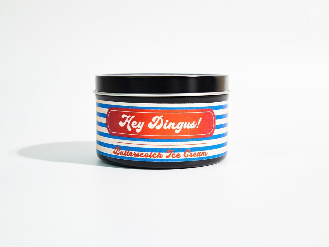 Hey Dingus! Candle - Robin Buckley Inspired Candle - Pop Culture Gift ...