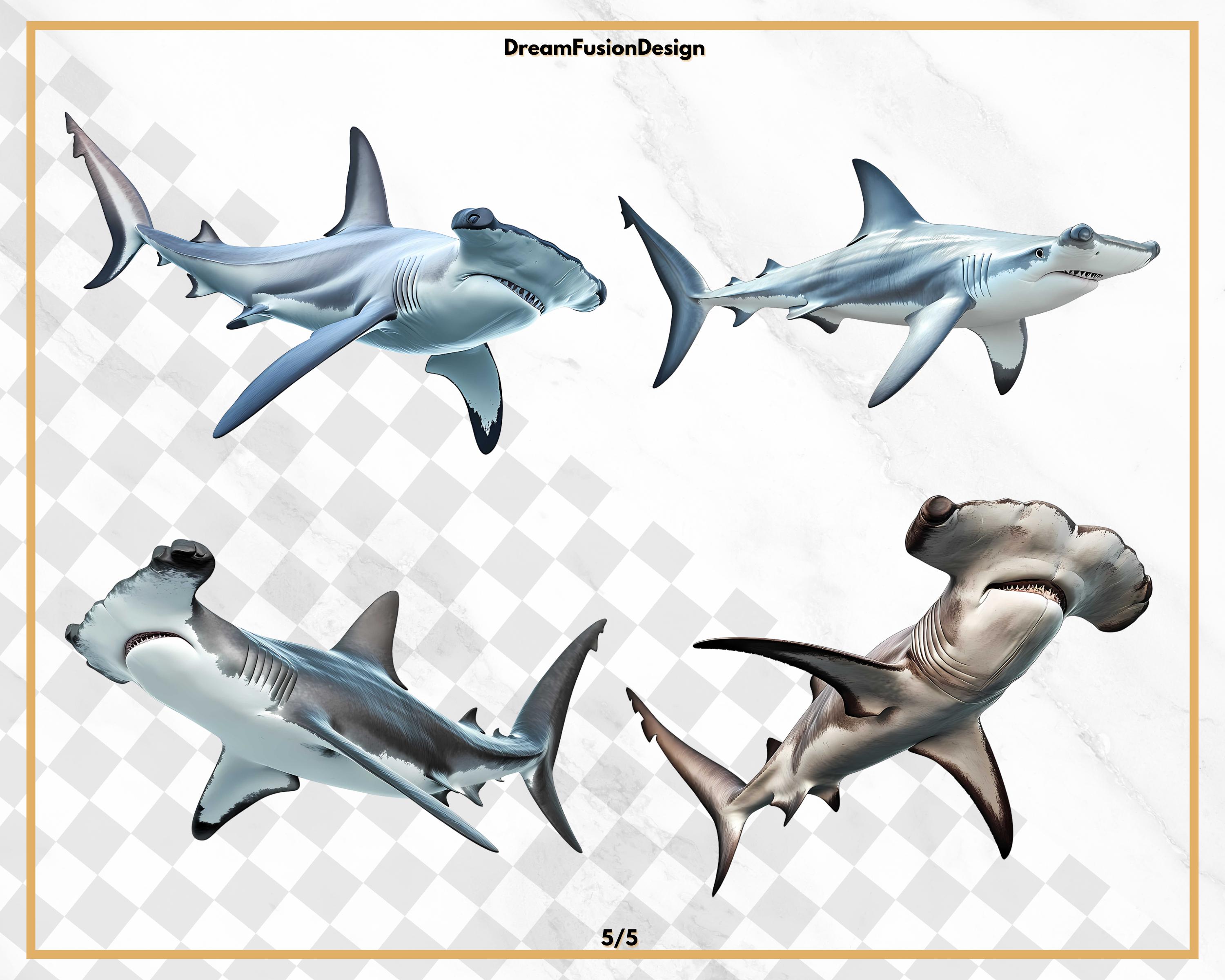 Hammerhead Shark Clipart, 20 Ocean Animal Designs, Marine Life ...