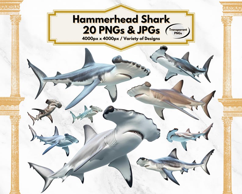 Hammerhead Shark Clipart, 20 Ocean Animal Designs, Marine Life ...