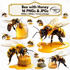 Bee With Honey Clipart, Bee and Honey PNG, Bee Clipart, Bee Png ...