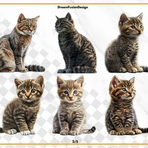 Cat Clipart, Cute Cat Illustrations, Cat PNG, Pet Graphics, Animal Art ...