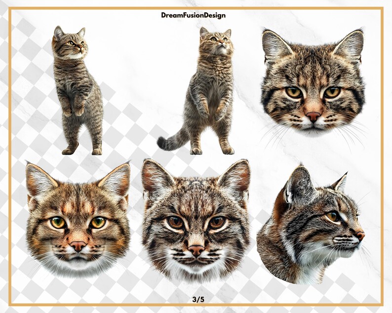 Cat Clipart, Cute Cat Illustrations, Cat PNG, Pet Graphics, Animal Art ...