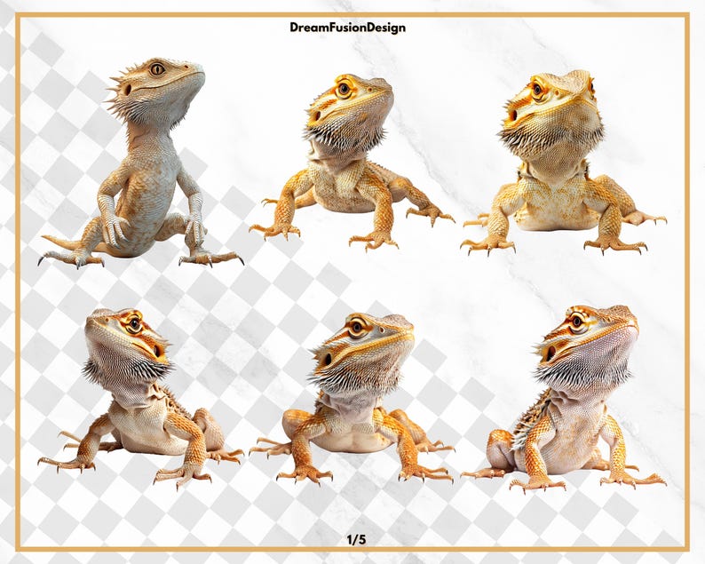 Bearded Dragon Clipart, Bearded Dragon PNG, Bearded Dragon JPG, Lizard ...