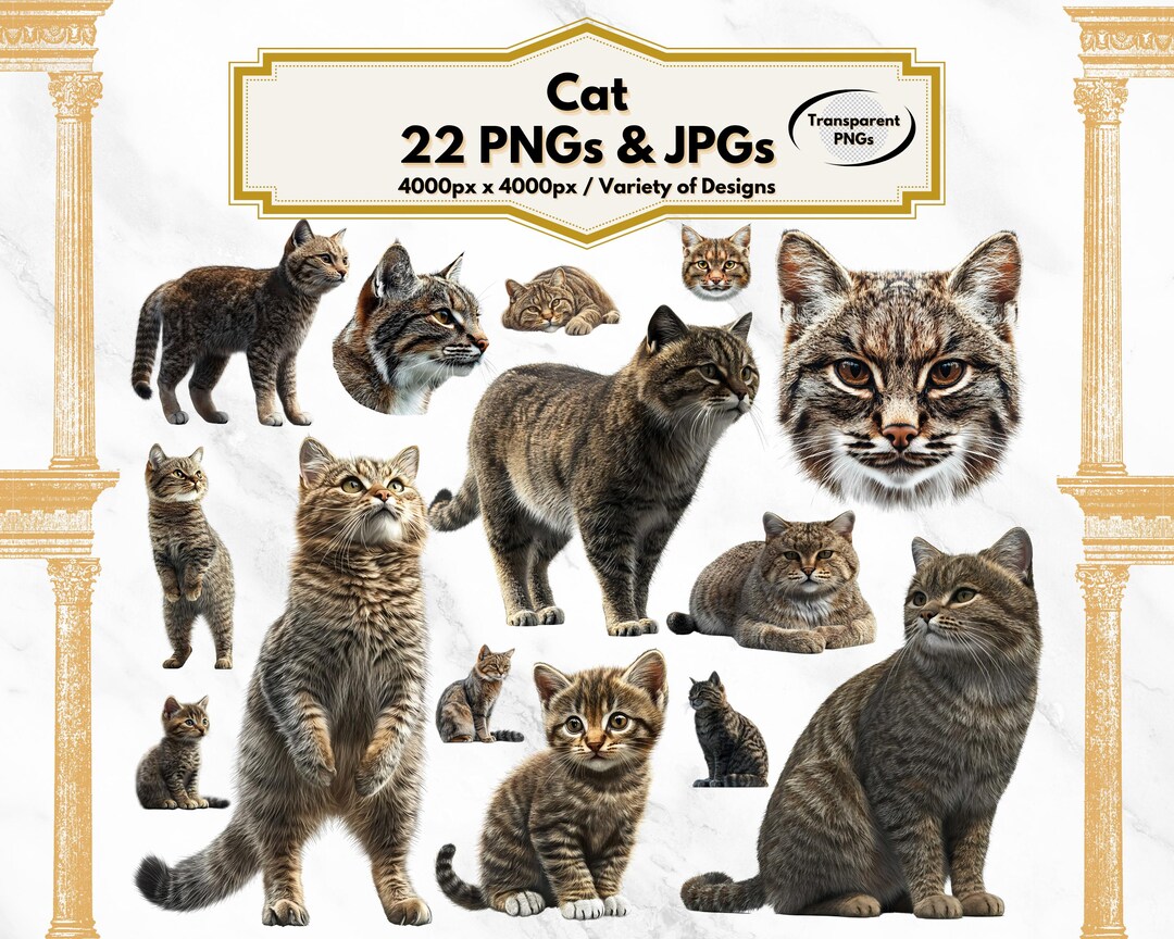 Cat Clipart, Cute Cat Illustrations, Cat PNG, Pet Graphics, Animal Art ...