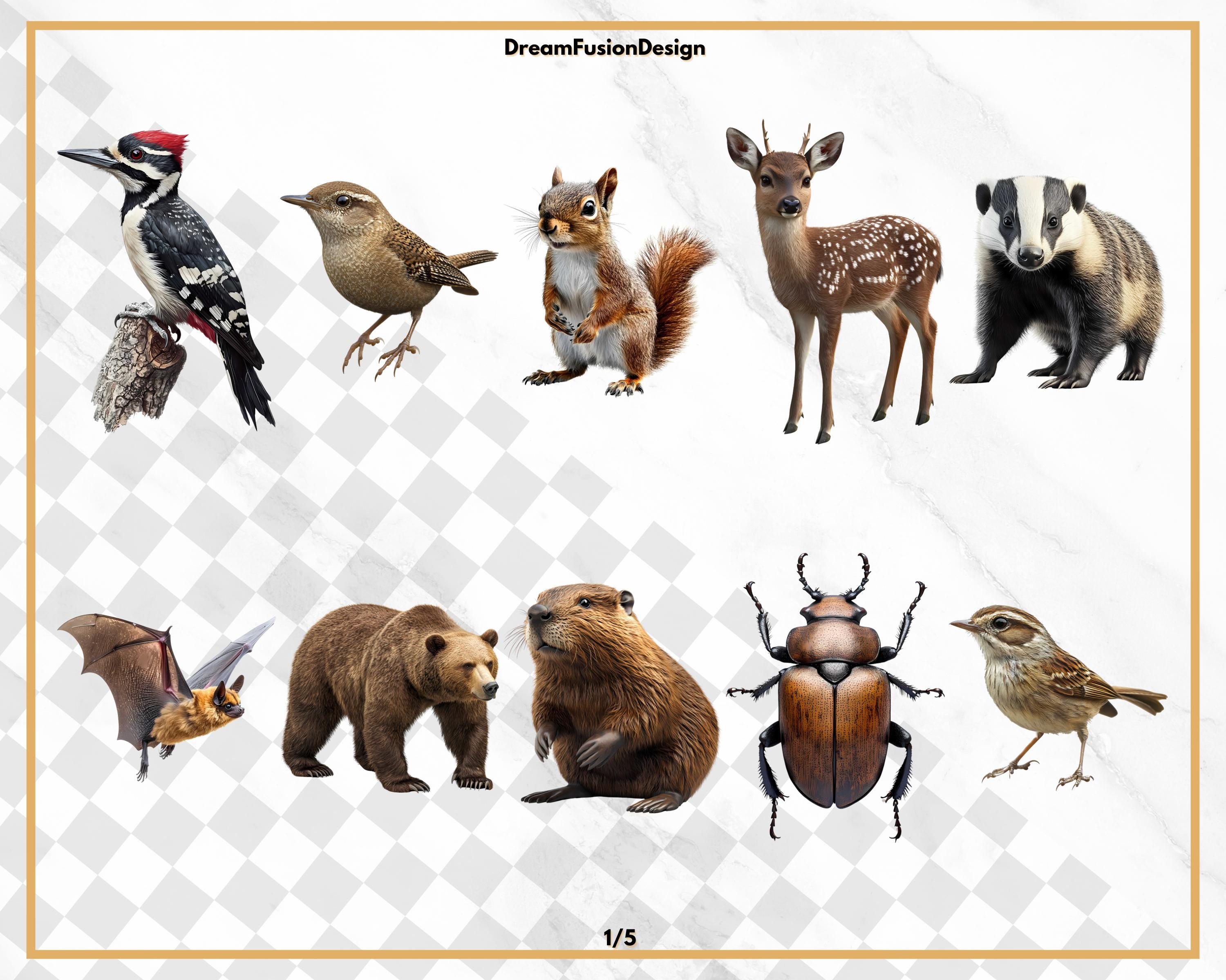 Woodland Animal Clipart, Forest Animal Illustrations, Woodland ...