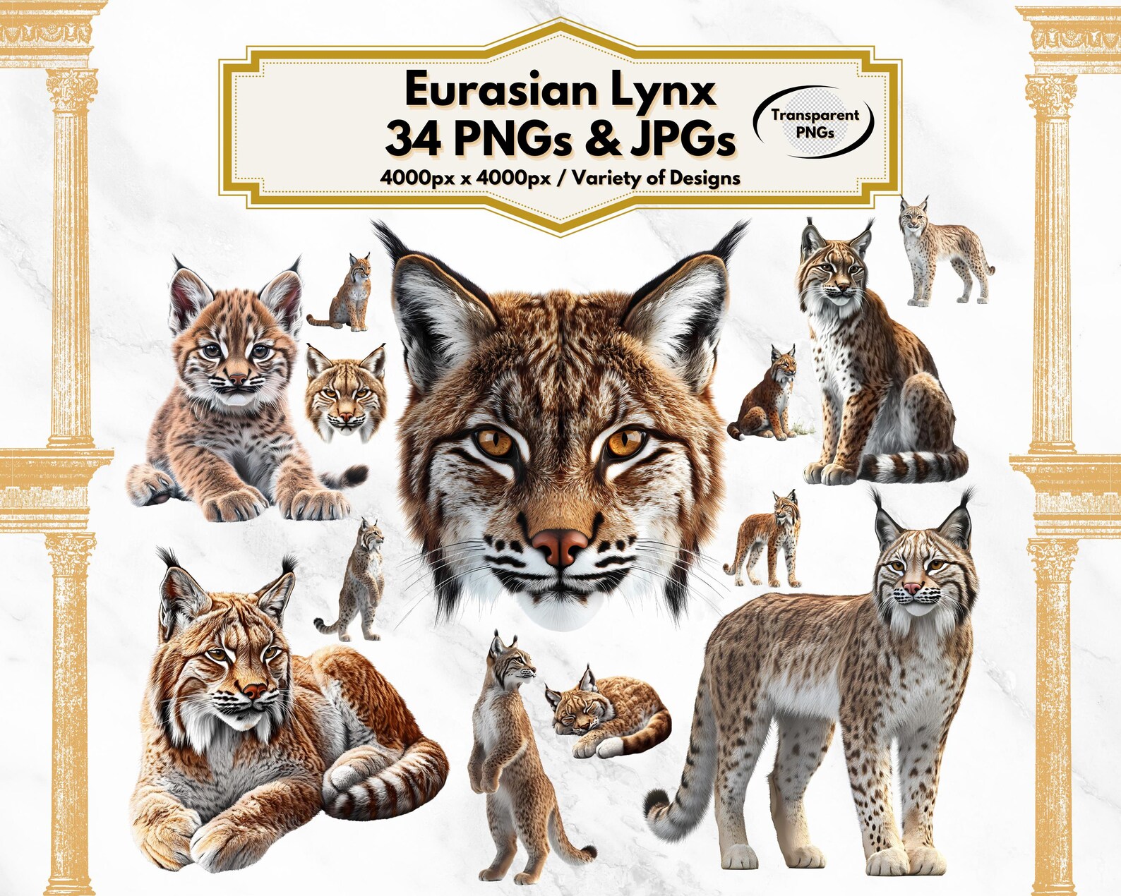 Eurasian Lynx Clipart, Wildlife Illustration, Lynx PNG, Forest Animal ...