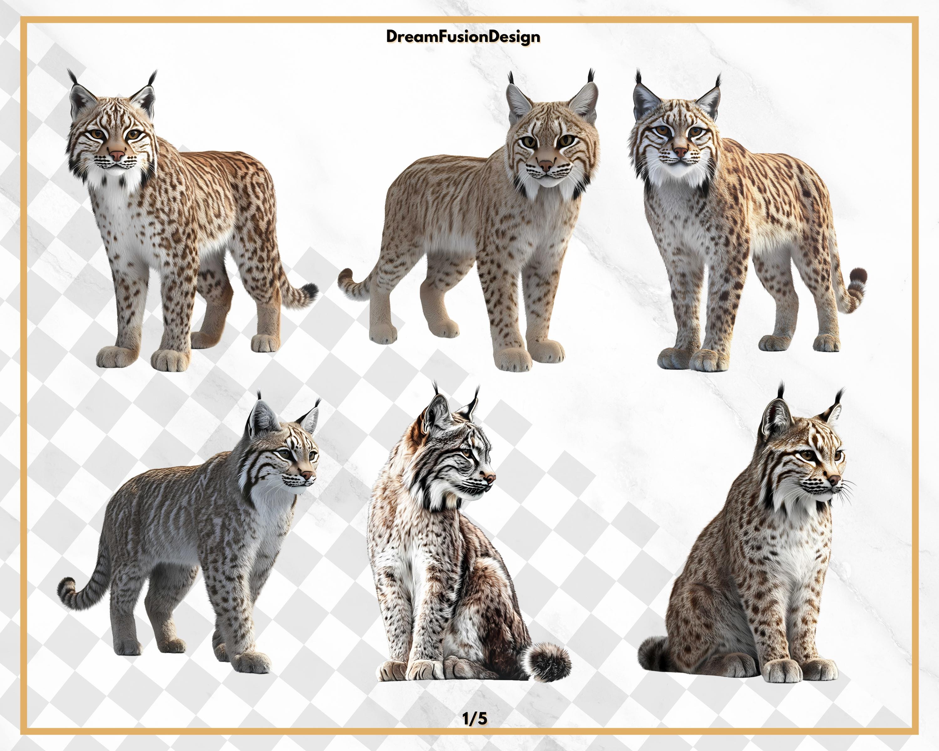 Bobcat Clipart, Wildlife Illustration, Bobcat PNG, Forest Animal Art ...