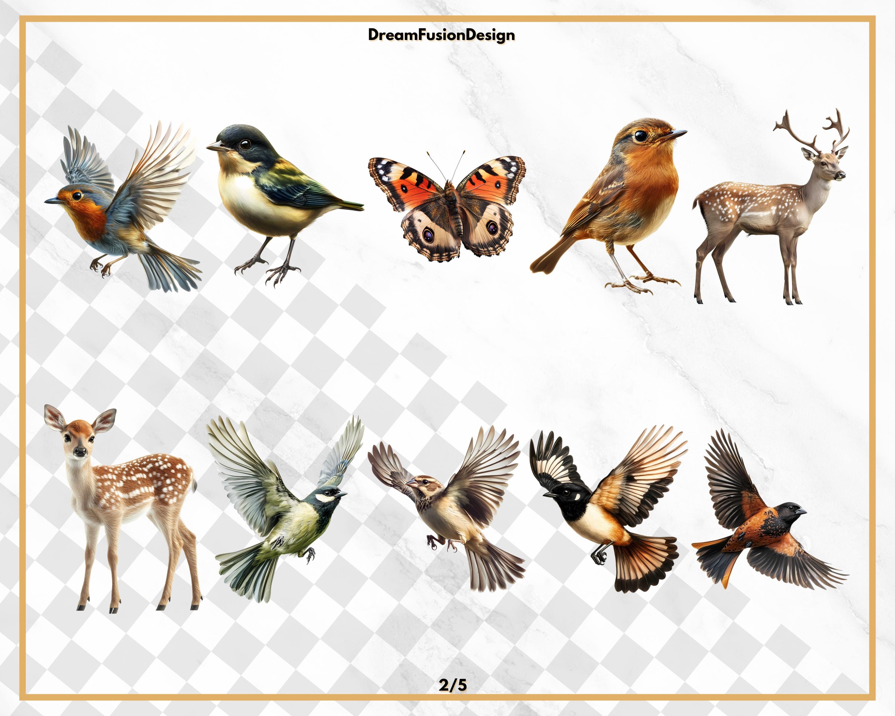 Woodland Animal Clipart, Forest Animal Illustrations, Woodland ...