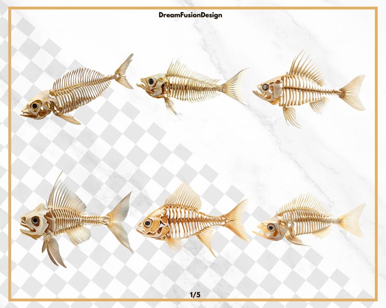 Fish Skeleton Clipart, Fish Skeleton PNG, Fish Skeleton JPG, Skeleton ...