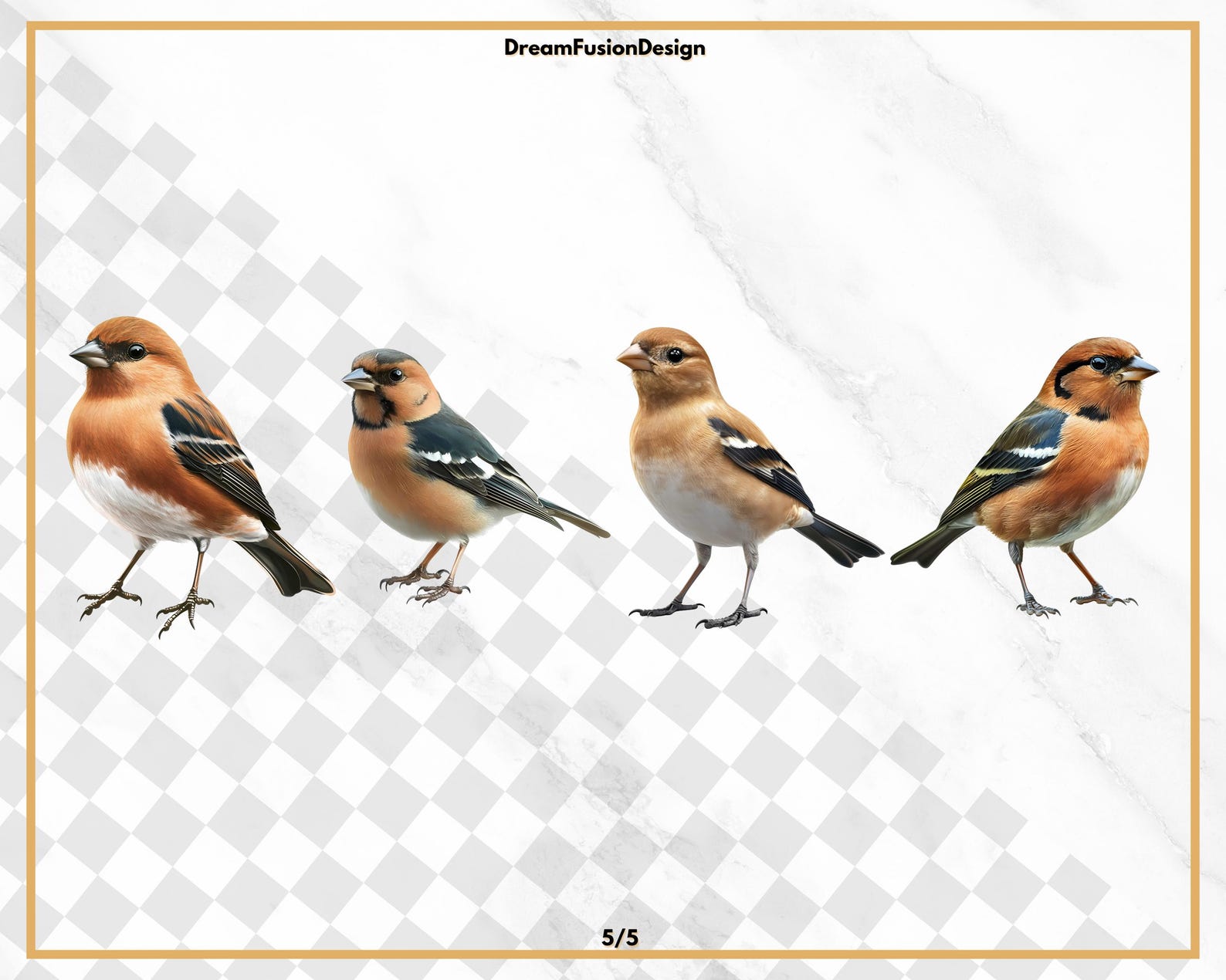 Chaffinch Clipart, Bird Illustration, Chaffinch PNG, Wildlife Art, Nature and Bird Graphics ...
