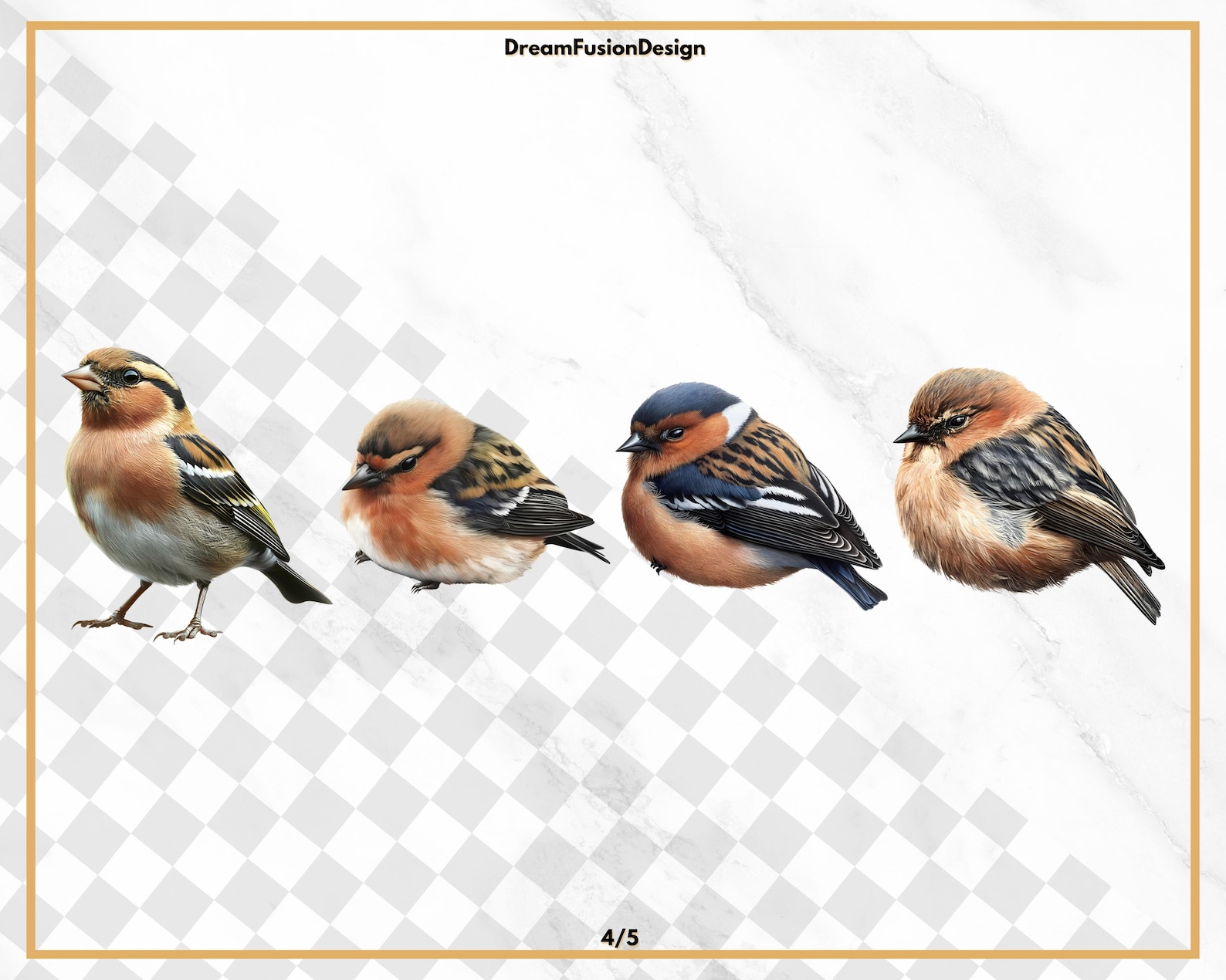 Chaffinch Clipart, Bird Illustration, Chaffinch PNG, Wildlife Art, Nature and Bird Graphics ...
