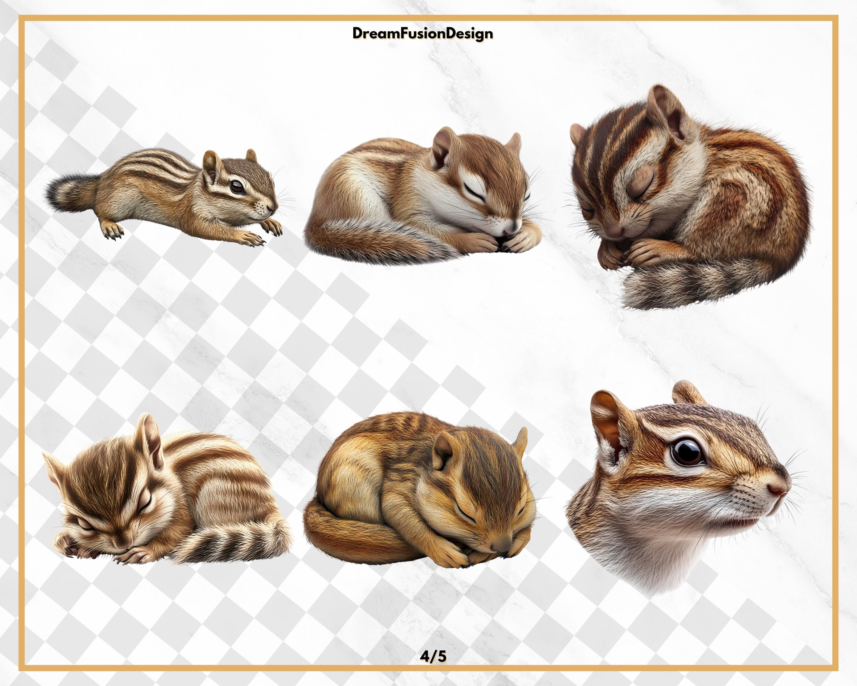 Chipmunk Clipart, Cute Forest Animal Illustration, Chipmunk PNG ...