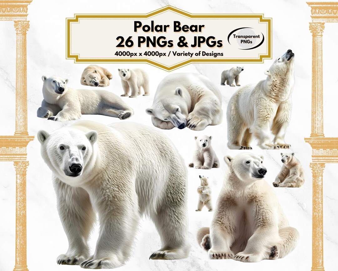 Polar Bear Clipart, 26 Cute Arctic Animal Designs, Winter Decor ...