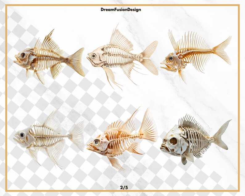 Fish Skeleton Clipart, Fish Skeleton PNG, Fish Skeleton JPG, Skeleton ...