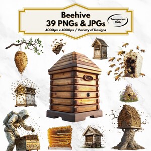 Beehive Clipart Set: Honeycomb, Beekeeping, Nature Designs (PNG, JPG ...