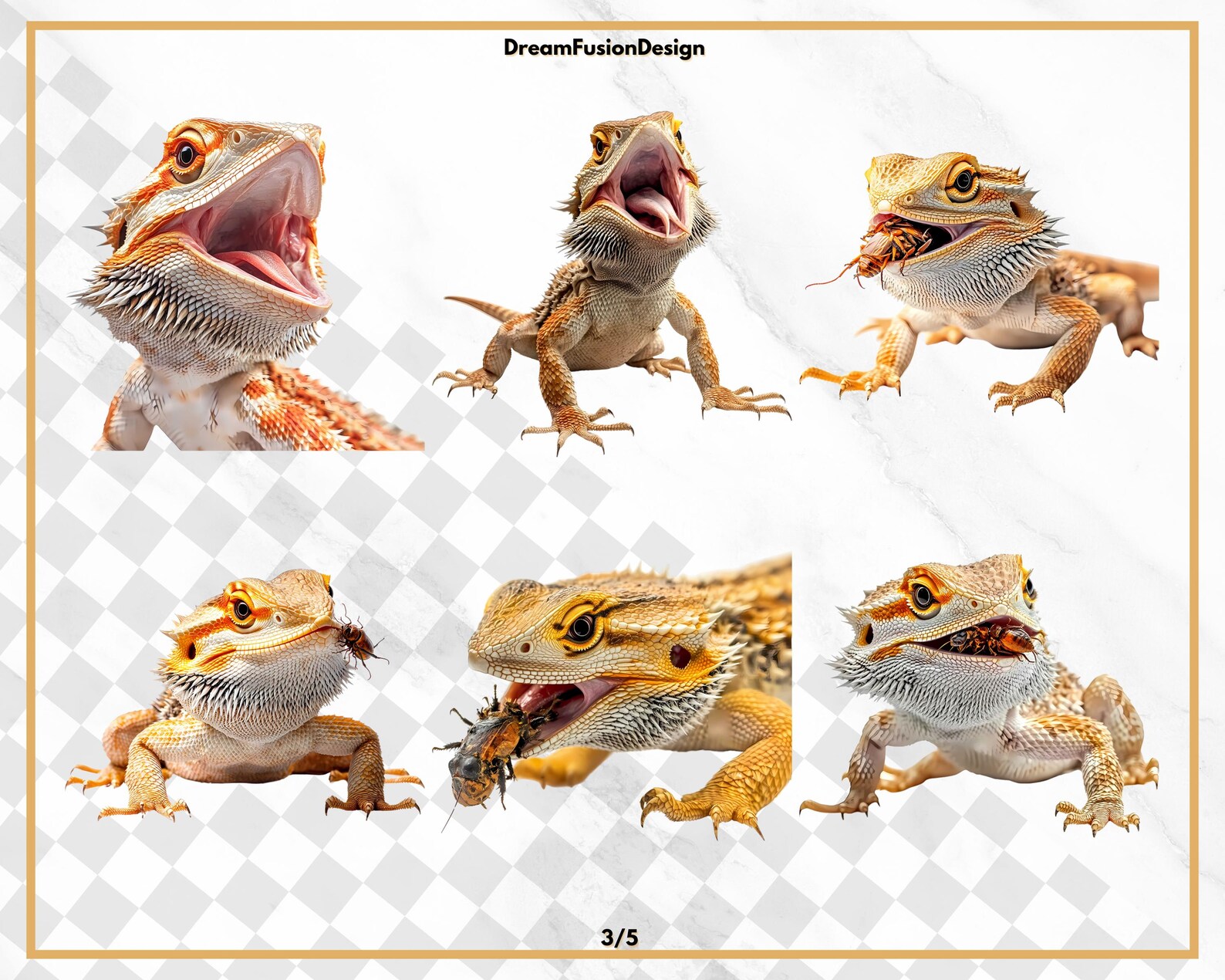 Bearded Dragon Clipart, Bearded Dragon PNG, Bearded Dragon JPG, Lizard ...