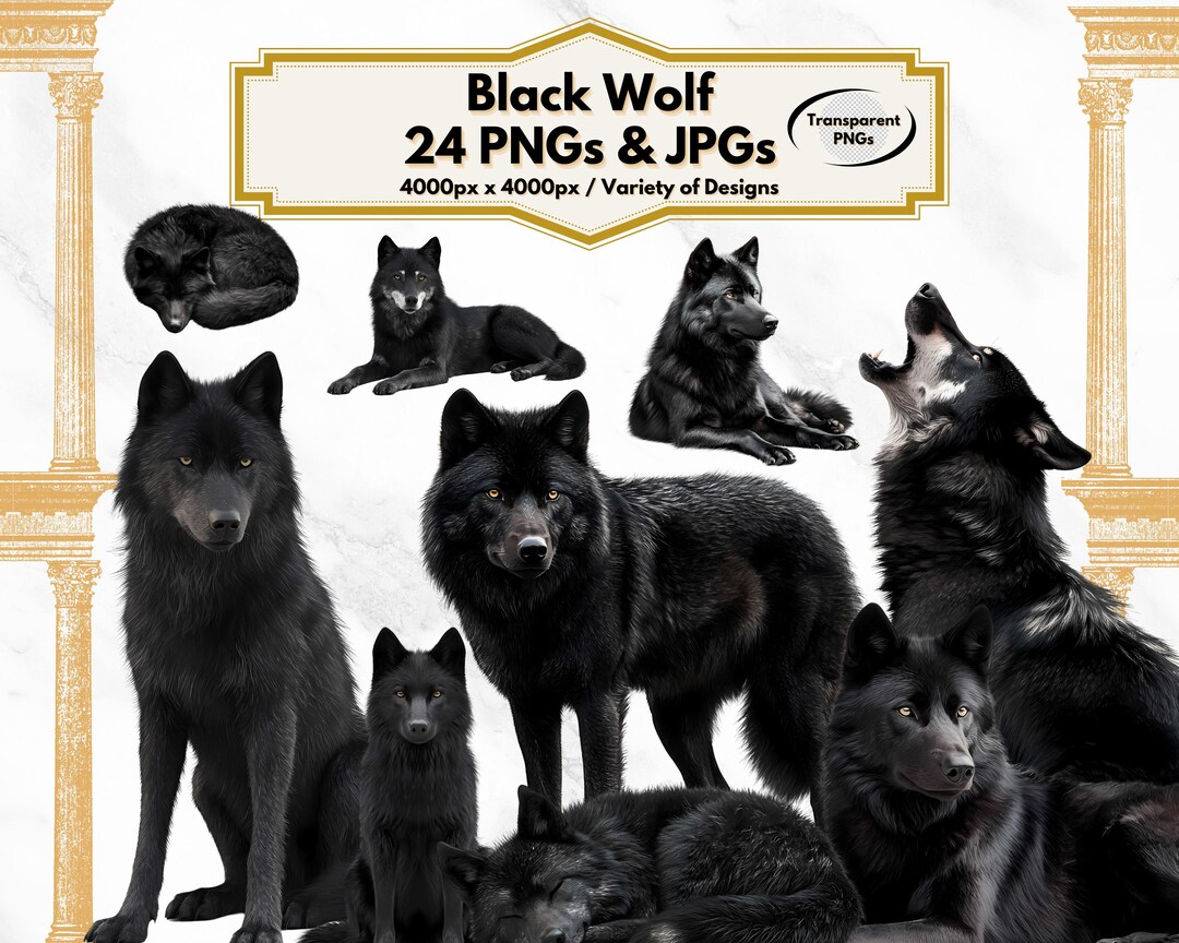 Czarny Wilk Clipart, Czarny Wilk PNG, Czarny Wilk JPG, Wilk Clipart ...