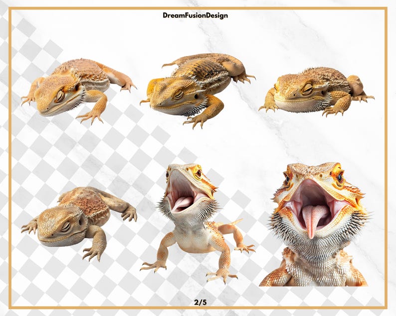 Bearded Dragon Clipart, Bearded Dragon PNG, Bearded Dragon JPG, Lizard ...