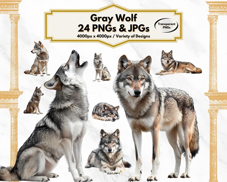 Gray Wolf Clipart, Gray Wolf PNG, Gray Wolf JPG, Wolf Clipart, Howling ...