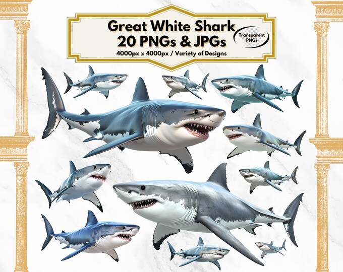 Great White Shark Clip Art, Shark PNG Photoshop Overlays, Shark Clipart ...