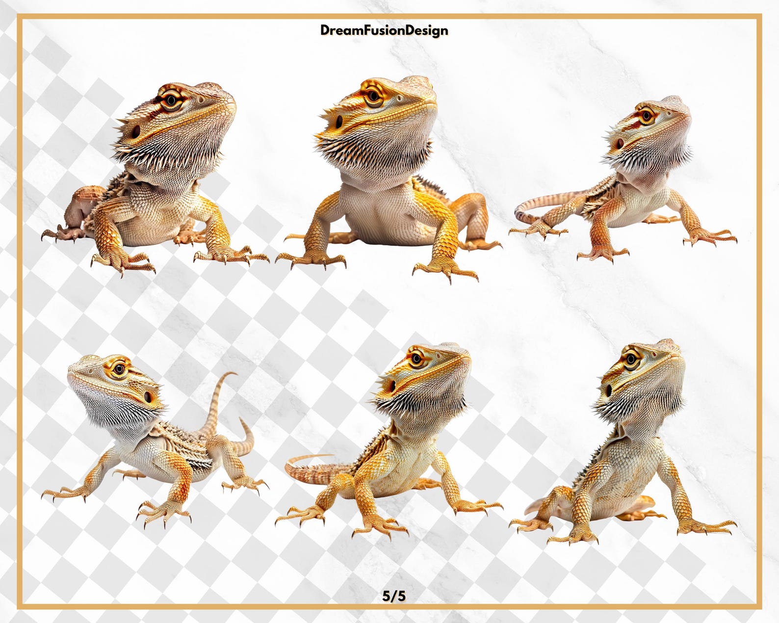 Bearded Dragon Clipart, Bearded Dragon PNG, Bearded Dragon JPG, Lizard ...
